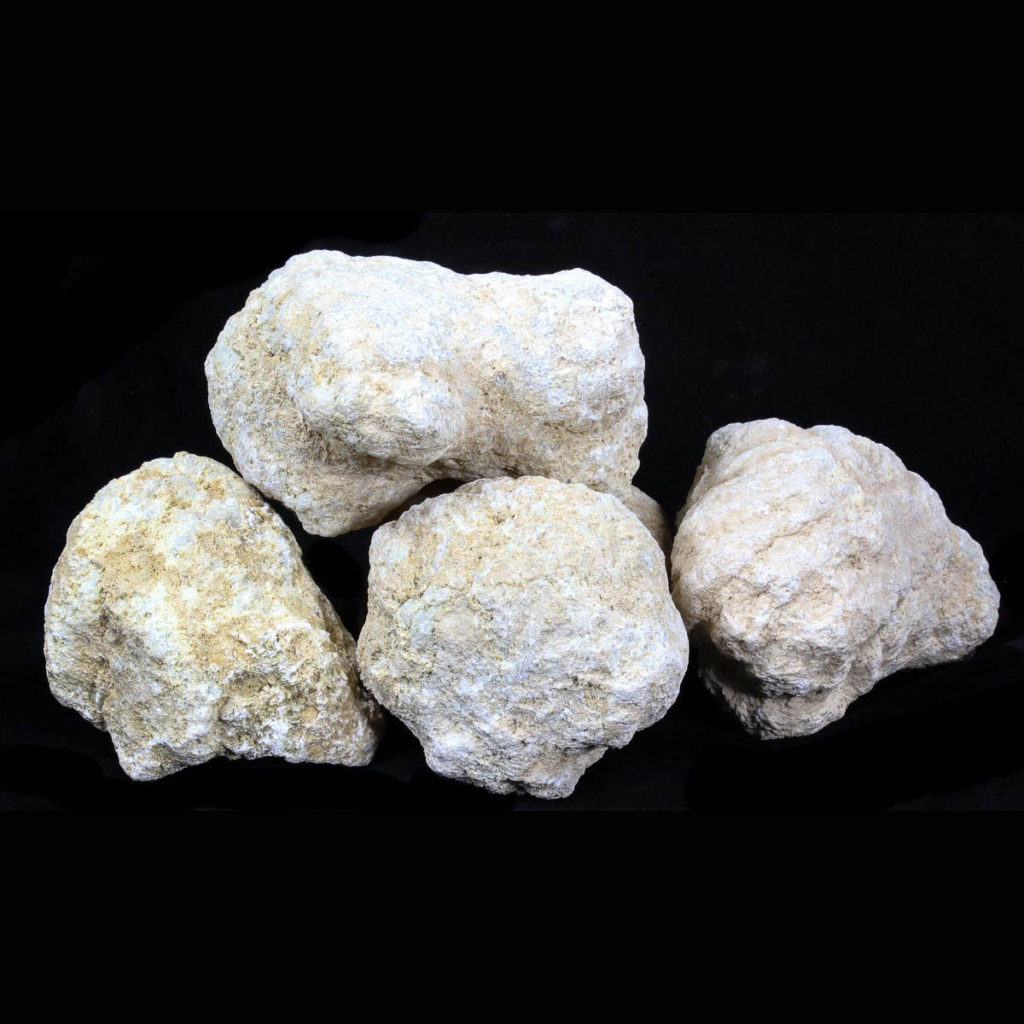 Unbroken Geodes – Jurassic Jacks Fossil Shack