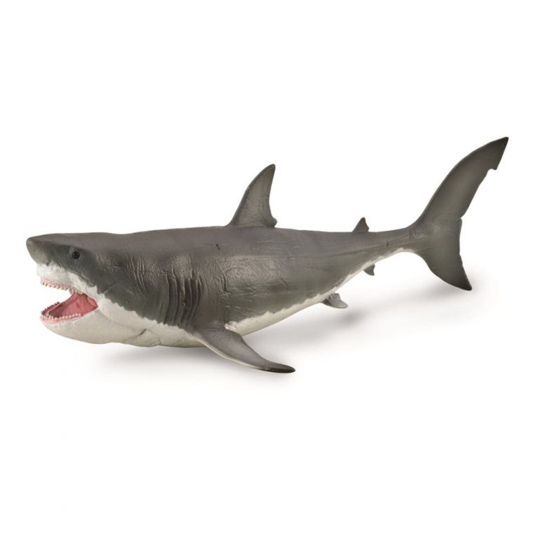 Megalodon Model – Jurassic Jacks Fossil Shack